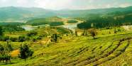 One Day Mysore To Ooty Tour By Cab Package Cost One Day Mysore To Ooty Tour By Cab Package Cost